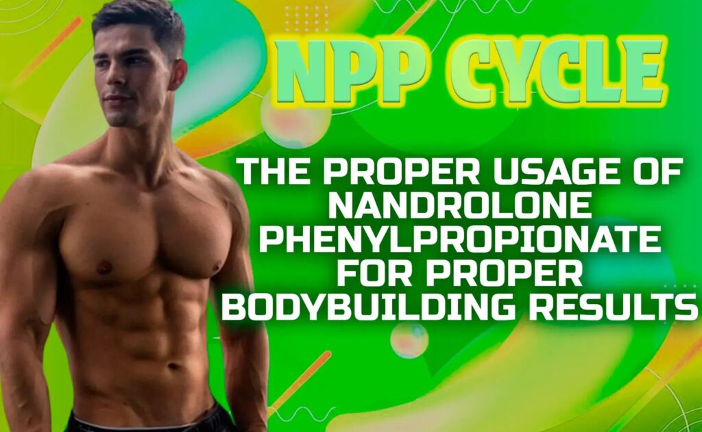 NPP Cycle – The Proper Usage of Nandrolone Phenylpropionate for Proper ...